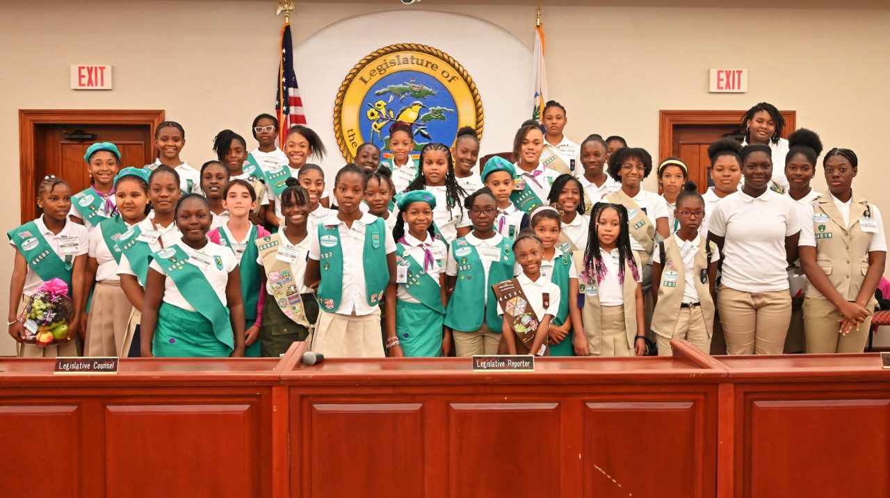 LEGISLATURE HOSTS GIRL SCOUTS LEADERSHIP DAY AND MOCK SESSION ...