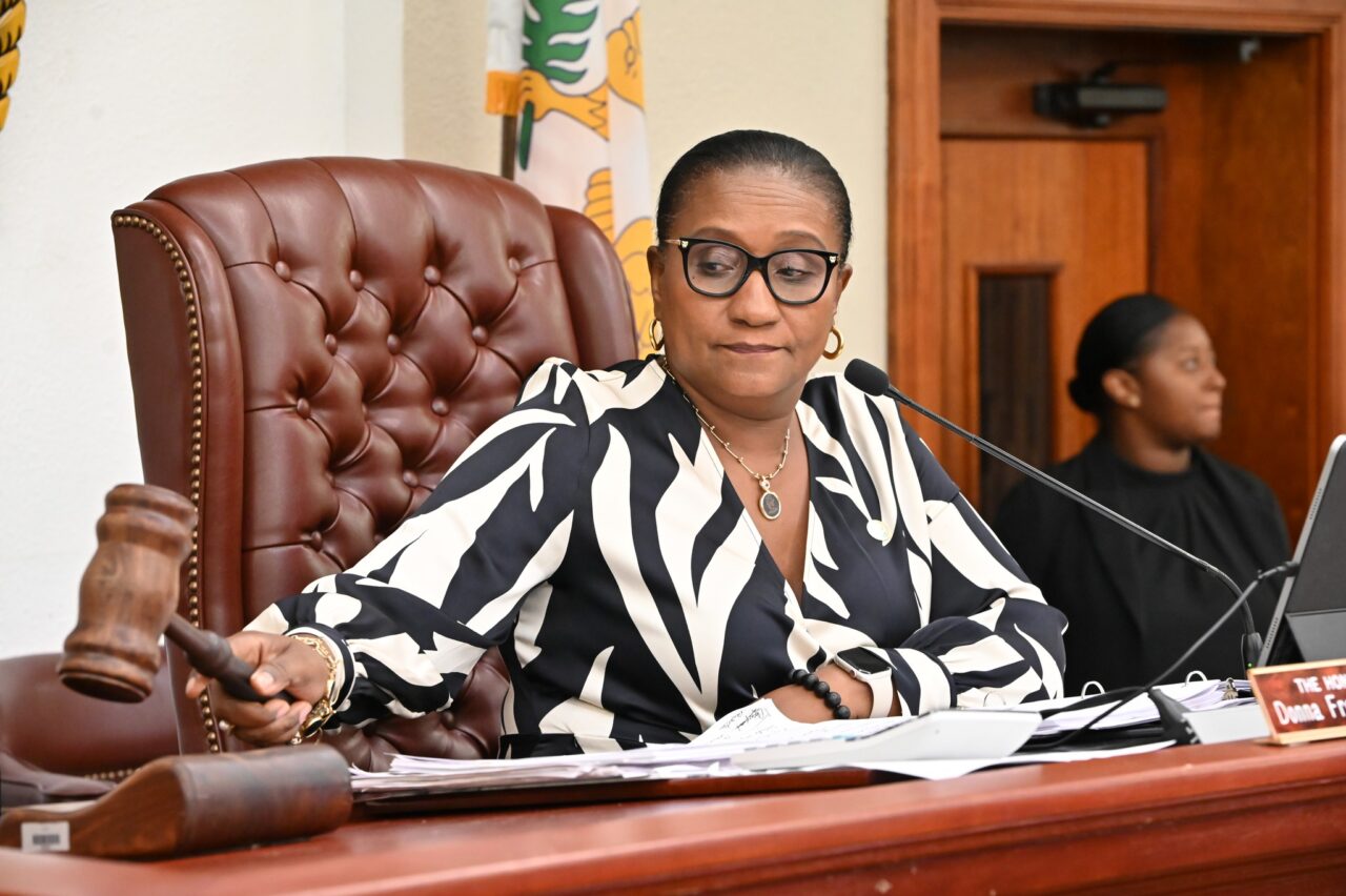 COMMITTEE RECEIVES FY2025 BUDGET REQUESTS FOR OFFICE OF THE GOVERNOR ...